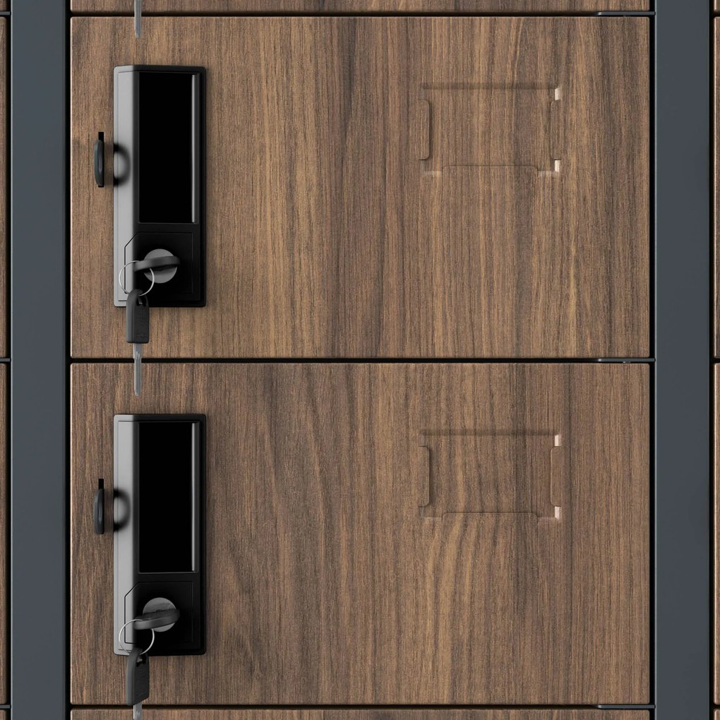 Depozitní skříňka s 33 uzamykatelnými boxy, bílá antracit/ořech, 900x1850x450 mm: OLIVER Eco Design
