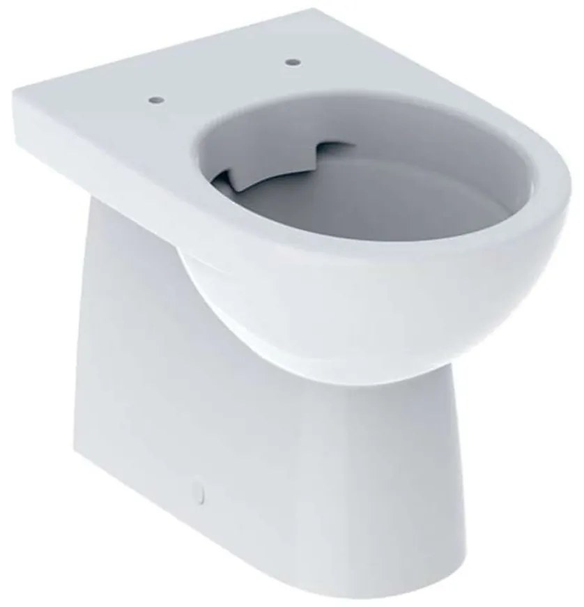 Geberit Selnova - Stojící WC, zadní/spodní odpad, Rimfree, bílá 500.393.01.7