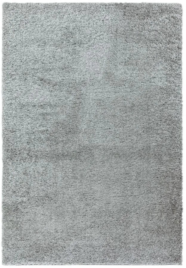 Šedý koberec Trebbia Silver Rozměry: 80x150 cm