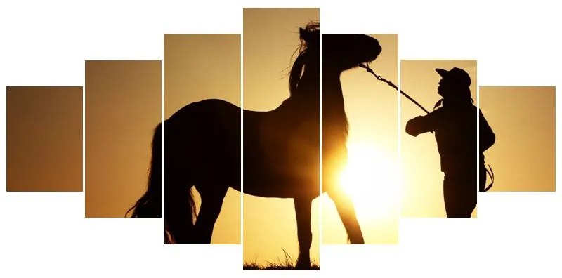 Obraz siluety koně (210x100 cm), 40 dalších rozměrů