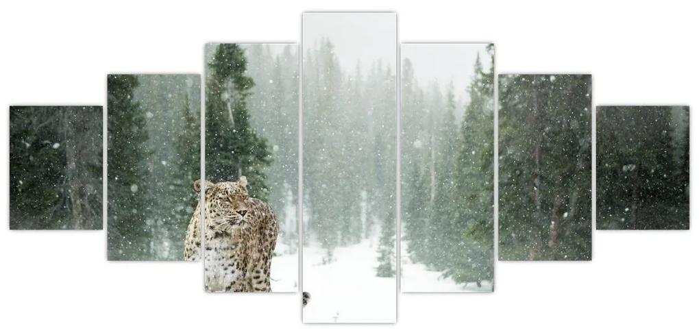 Obraz leoparda ve sněhu (210x100 cm)