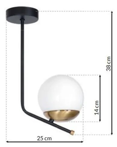 Stropní svítidlo Carina, 1x bílé skleněné stínítko, b/g
