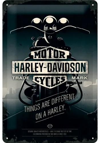 Postershop Plechová cedule - Harley-Davidson (Things Are Different on a Bike) 30x20 cm