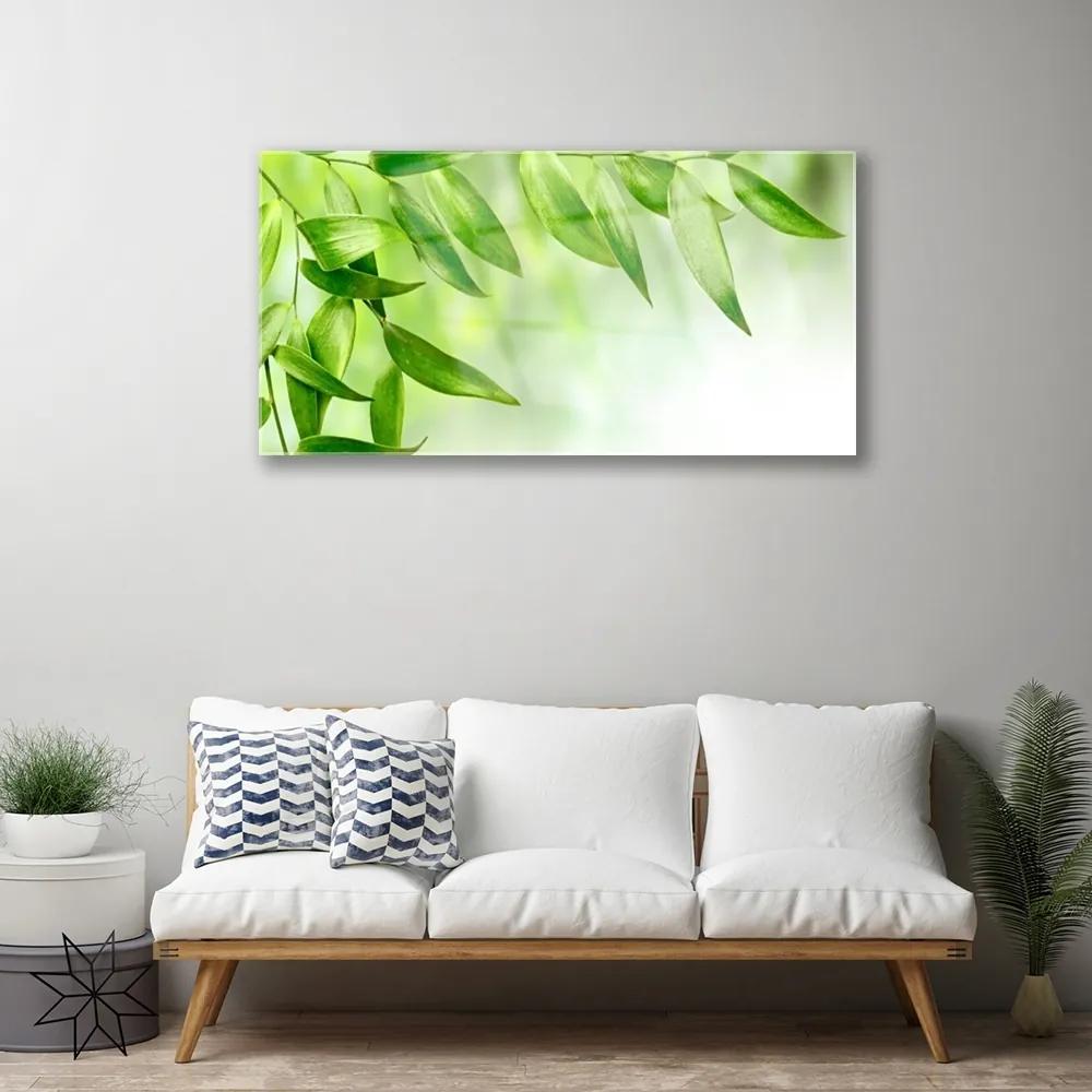 Obraz na skle Zelené Listy Příroda 125x50 cm