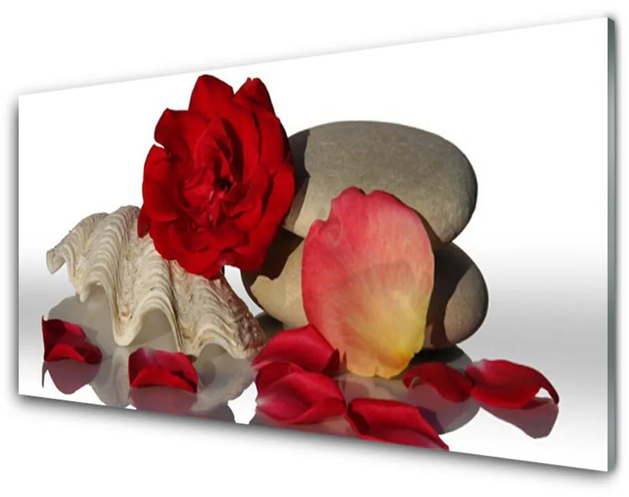 Plexisklo-obraz Růže Plátky Mrtvá Příroda 140x70 cm