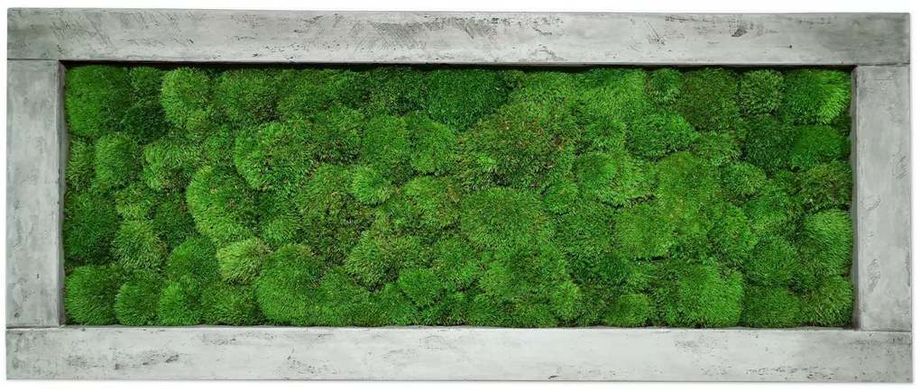 Mechdekor Obraz 136x56cm Kopečkový Mech v rámu Beton Art