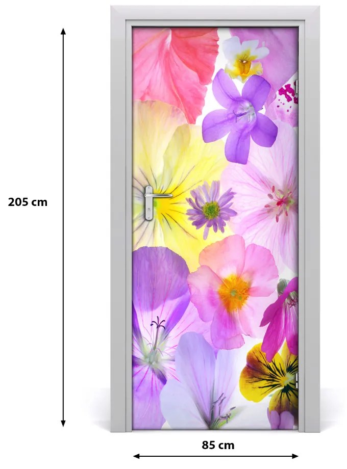 Fototapeta na dveře Barevné květiny 85x205 cm
