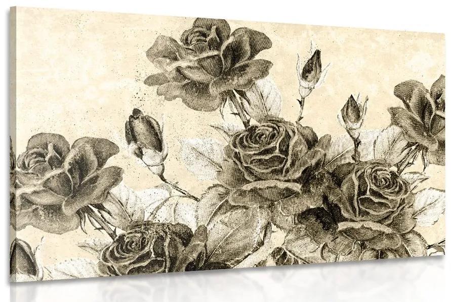 Obraz vintage kytice růží v sépiovém provedení Varianta: 120x80