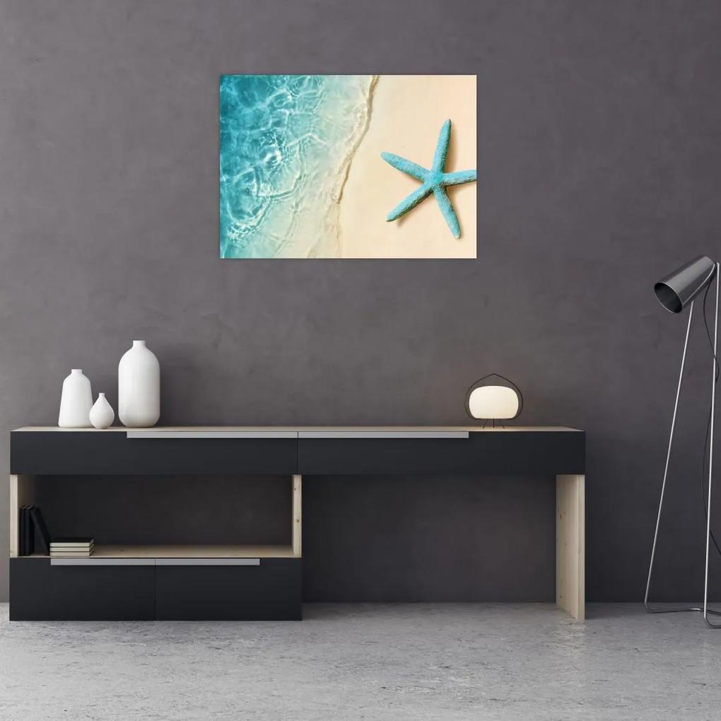 Skleněný obraz - Hvězdice na pláži (70x50 cm)