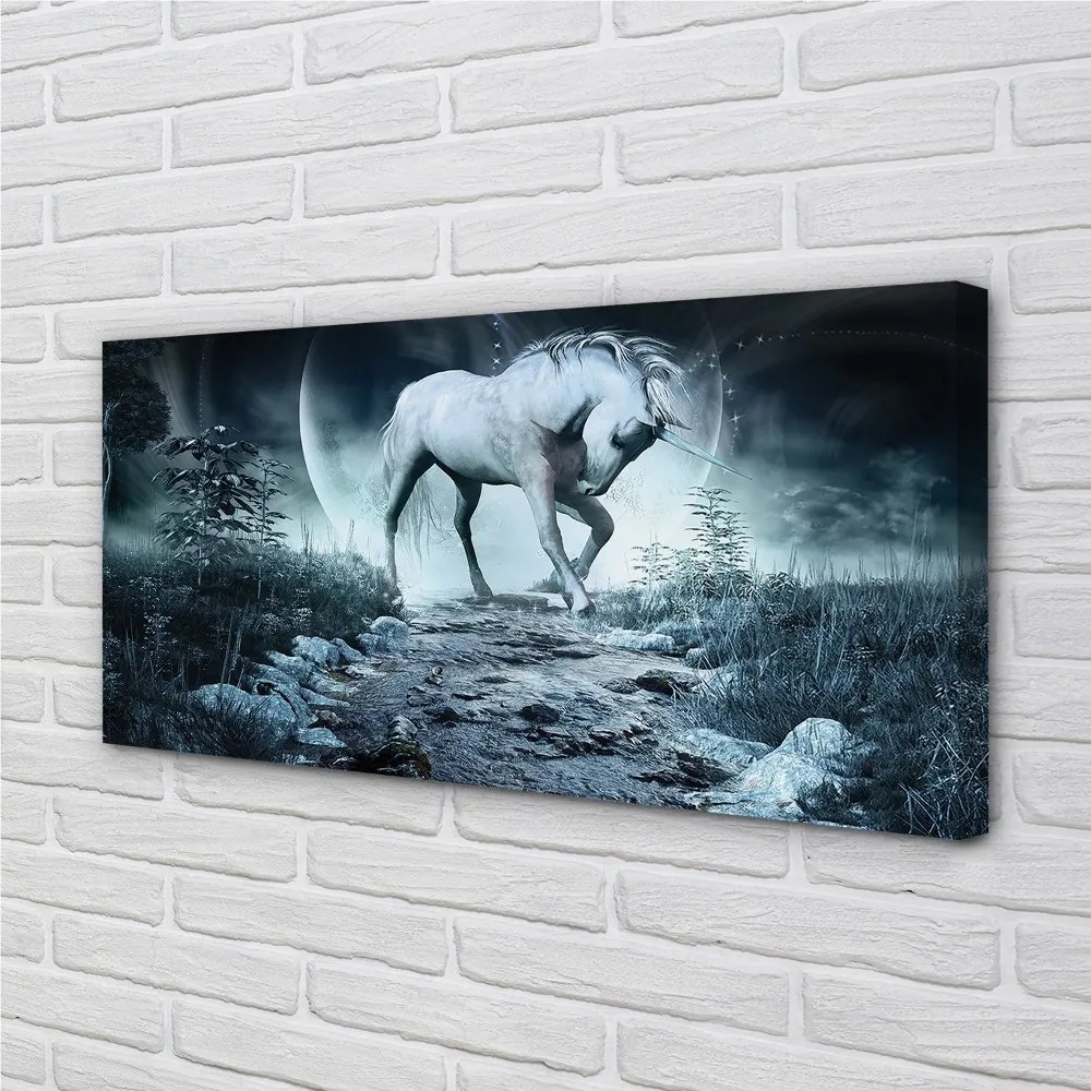 Obrazy na plátně Forest Unicorn moon 100x50 cm