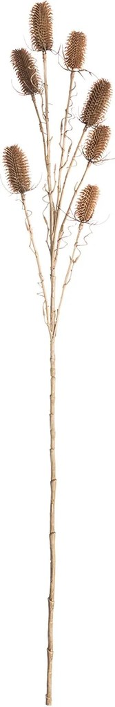 Okrasný bodlák 110cm beige