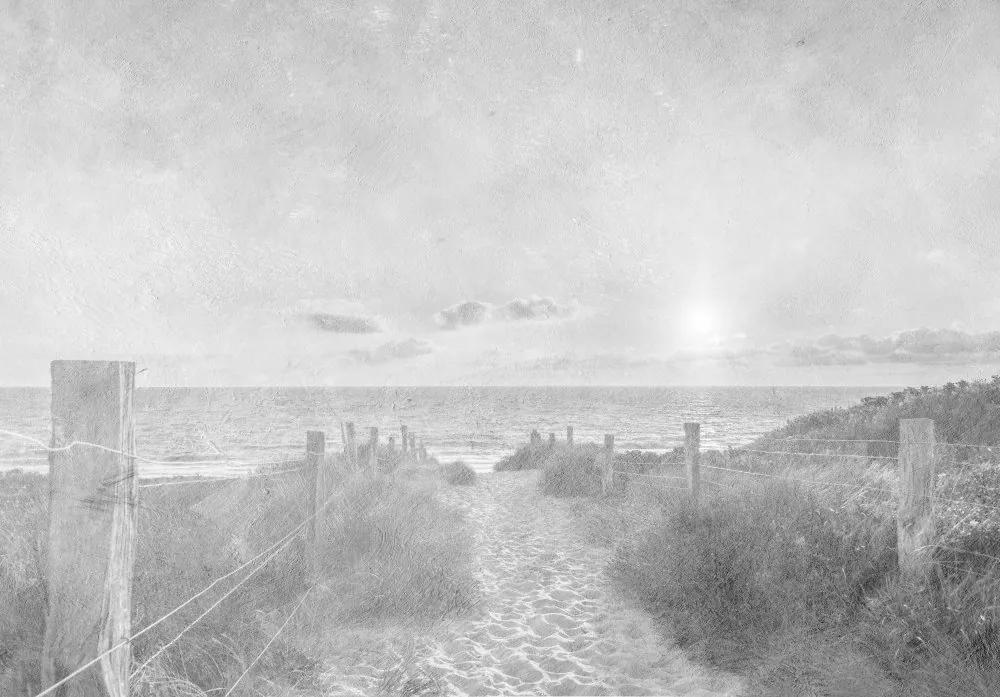 Fototapeta Letní Západ Slunce Vybledlé Vintage Černobílé Omyvatelný vlies 208x146