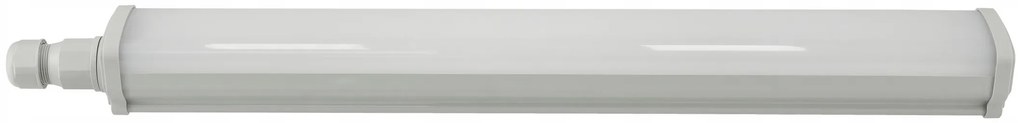 Hermetické LED svítidlo Philips - 60 cm - 15 W - neutrální barva
