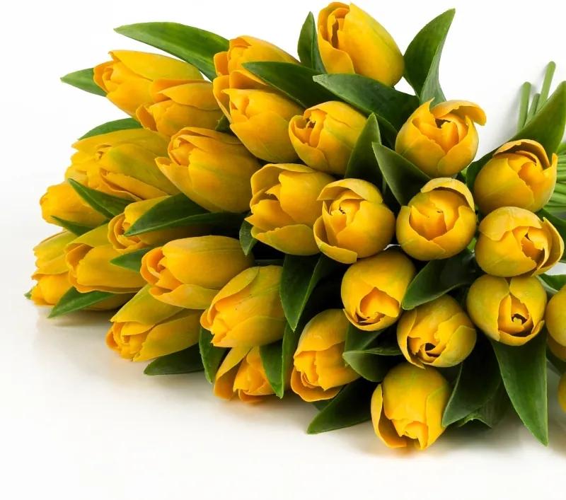 Tulipán žlutý 40cm
