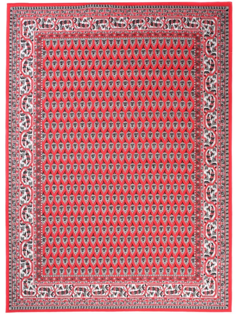 Kusový koberec PP Revlon červený, Velikosti 80x150cm