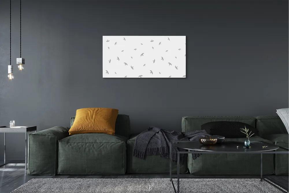 Obrazy na plátně šedé ptáků 120x60 cm
