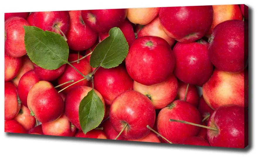 Wallmuralia Foto obraz canvas Červené jablko 140x70 cm