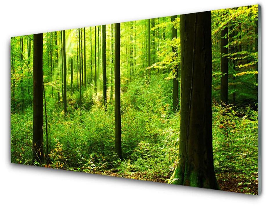 akrylový obraz Les Zeleň Stromy Příroda 140x70 cm