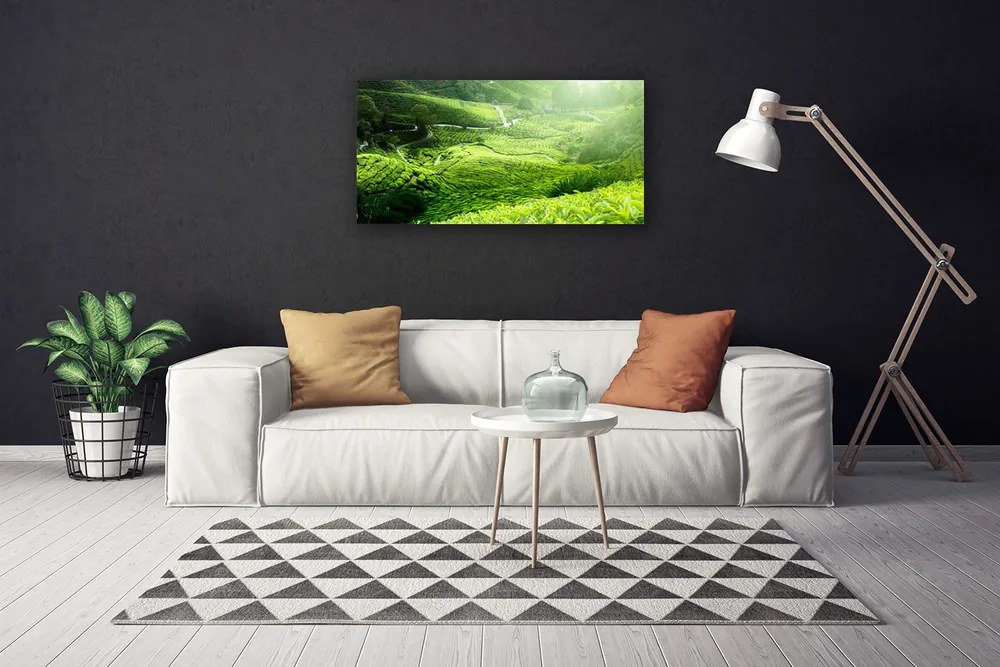 Obraz na plátně Louka Příroda 125x50 cm