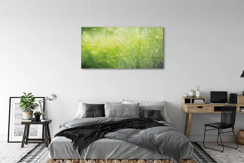 akrylový obraz Tráva kapky rosy 125x50 cm