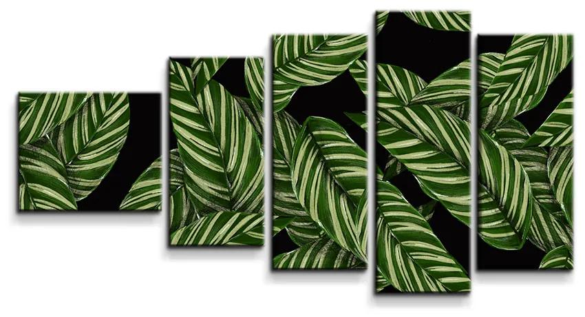 Sablio Obraz - 5-dílný Abstrakce listů - 100x60 cm