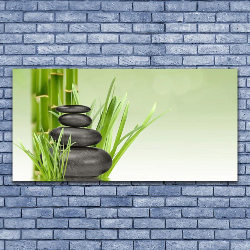 akrylový obraz Bambus Tráva Rostlina Příroda 120x60 cm