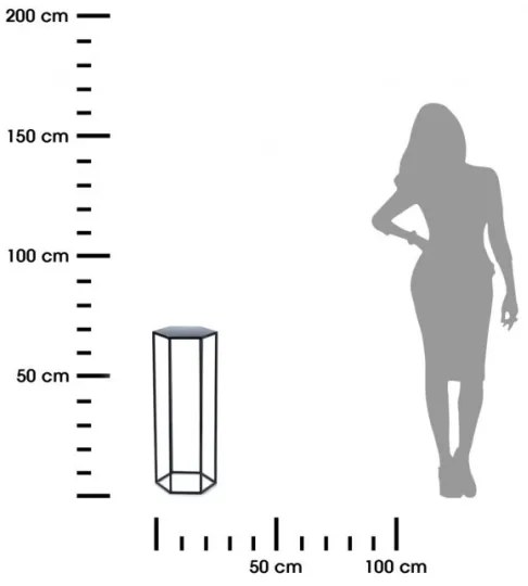 Stojan na květiny 70x24 cm černá