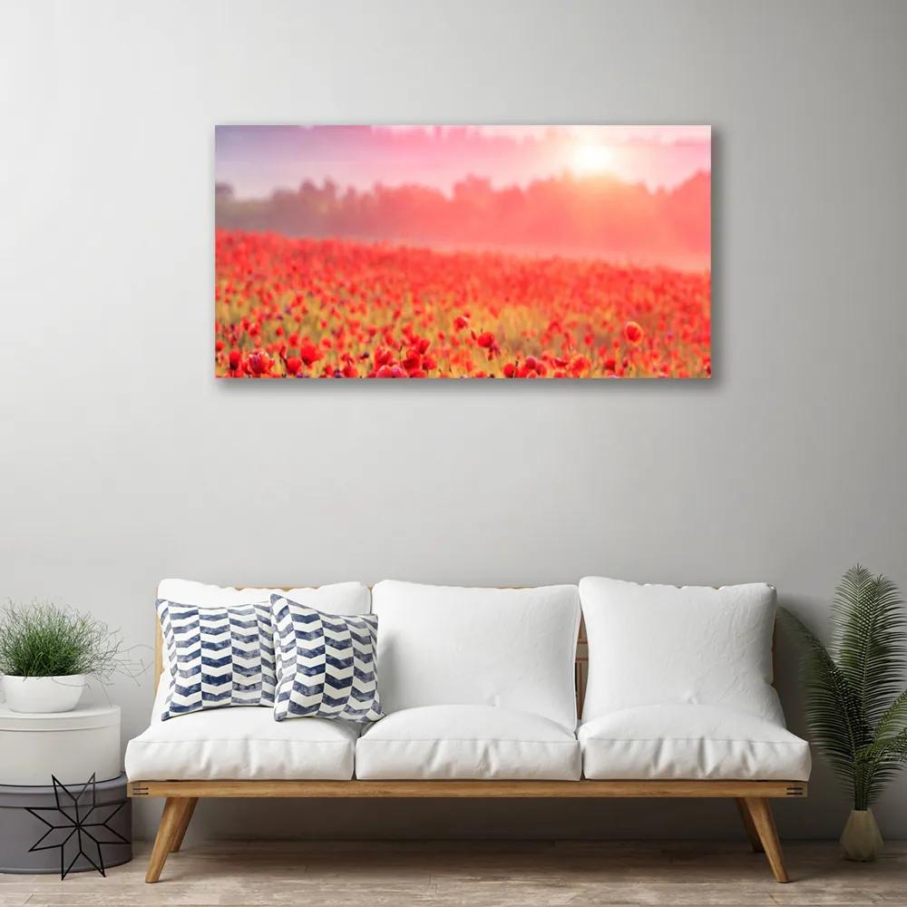 Obraz na plátně Louka Květiny Příroda 140x70 cm