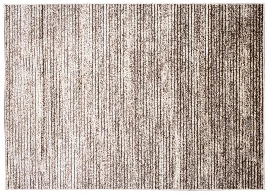 Moderní koberec v hnědých odstínech s tenkými proužky Šířka: 120 cm | Délka: 170 cm