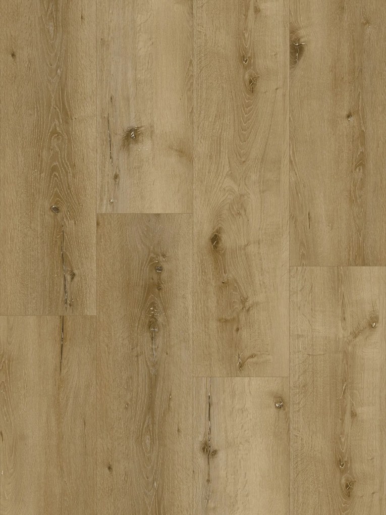 Tajima, Vinylová podlaha lepená Tajima Classic Ambiente XL 8017, 1219,2 x 228,6 mm
