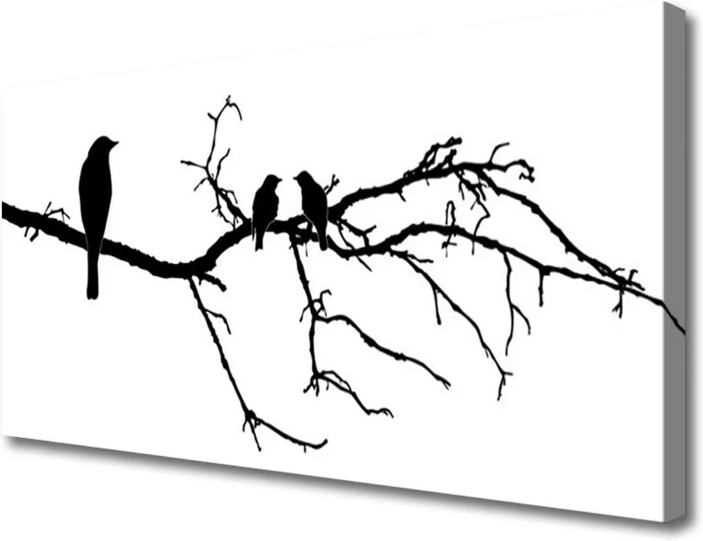 Obraz na plátně Ptáci Větev Umění