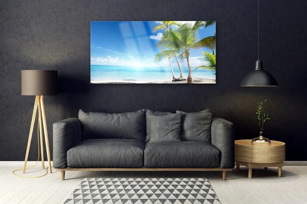 akrylový obraz Palma Strom Moře Krajina 120x60 cm