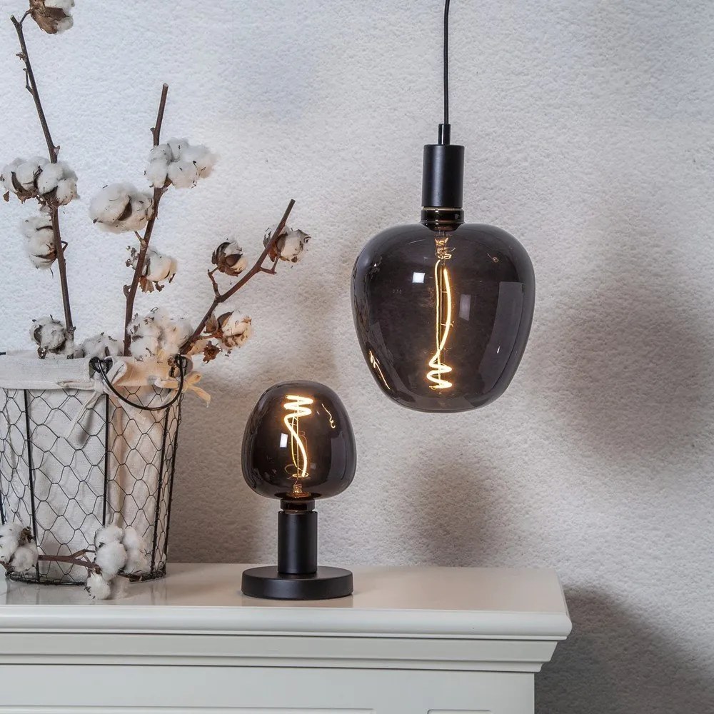Teplá LED dekorativní žárovka E27, 2 W Black Apple – Star Trading