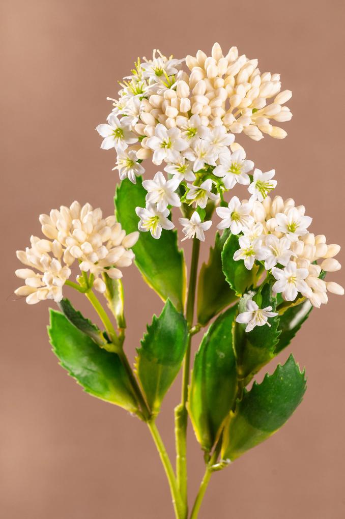 Paramit KALANCHOE Aranžovací květina bílá 47 cm