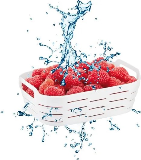 TESCOMA Dóza do mrazničky s košíkem 4FOOD 2,0 l