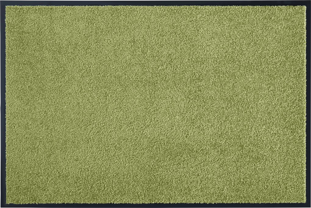 Hanse Home, Rohožka Wash & Clean 101470 Green, 90x150, zelená, chodba / předsíň