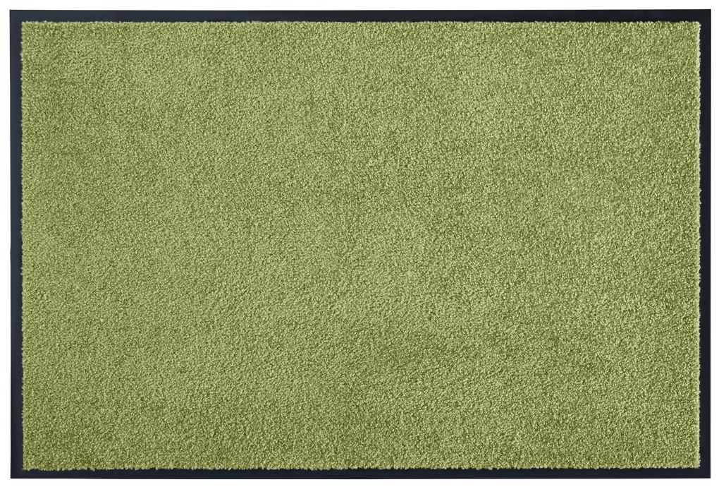 Hanse Home Collection koberce Rohožka Wash & Clean 101470 Green - 120x180 cm