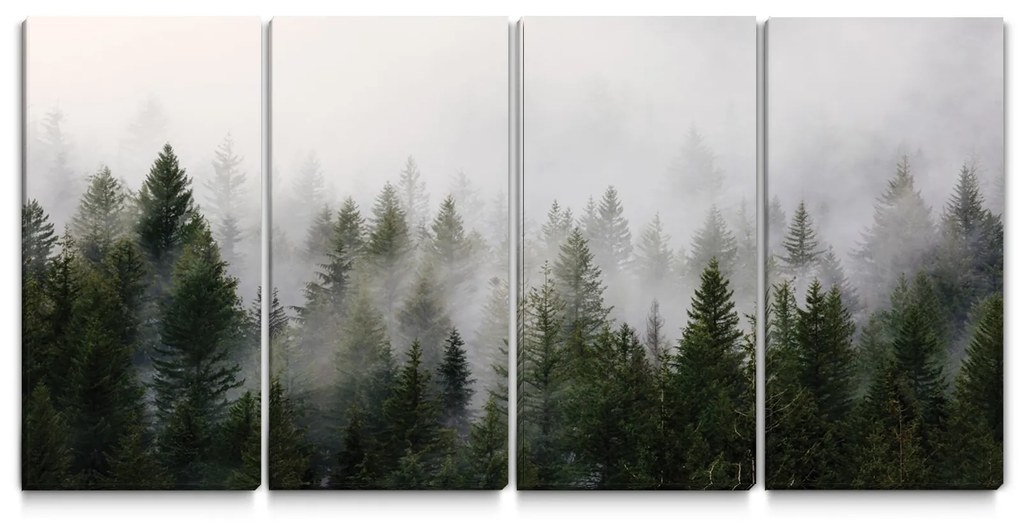 Malvis Vícedílný obraz Mlha v lese Velikost (šířka x výška): 120x70 cm
