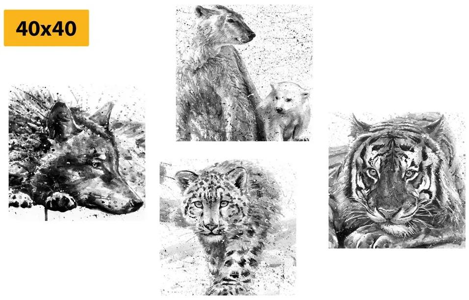 Set obrazů zvířata v černobílém akvarelovém provedení