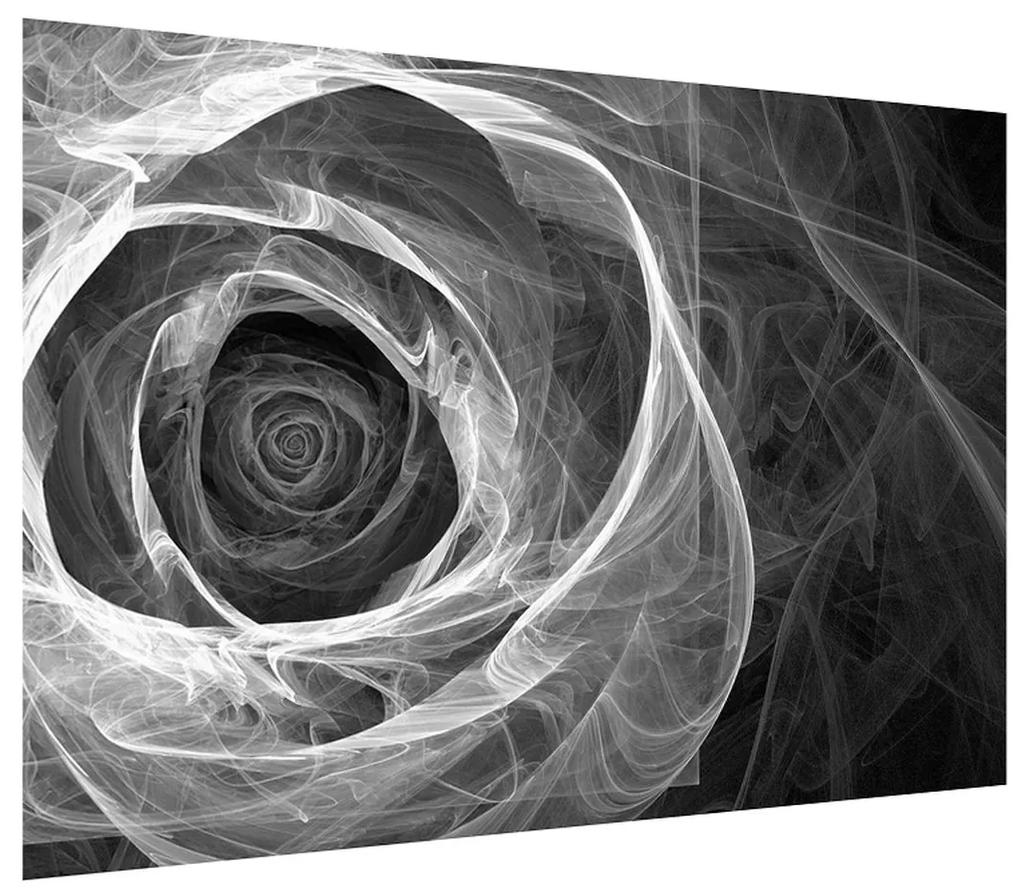 Černobílý obraz abstraktní růže (100x70 cm)