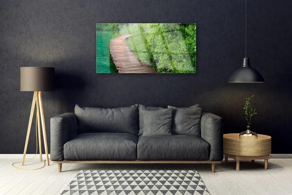 Obraz na skle Most Stromy Architektura 100x50 cm