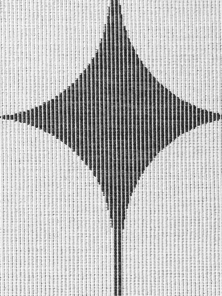 NORTHRUGS, Kusový koberec Duet Bowen 106244 Black/White - na ven i na doma, 200x290, černobílá, chodba / předsíň