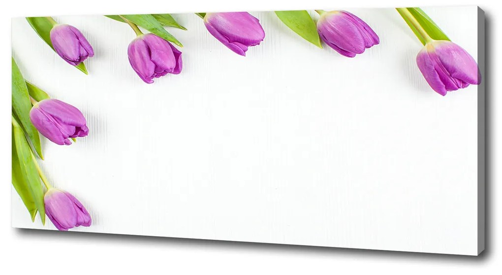 Moderní fotoobraz canvas na rámu Fialové tulipány