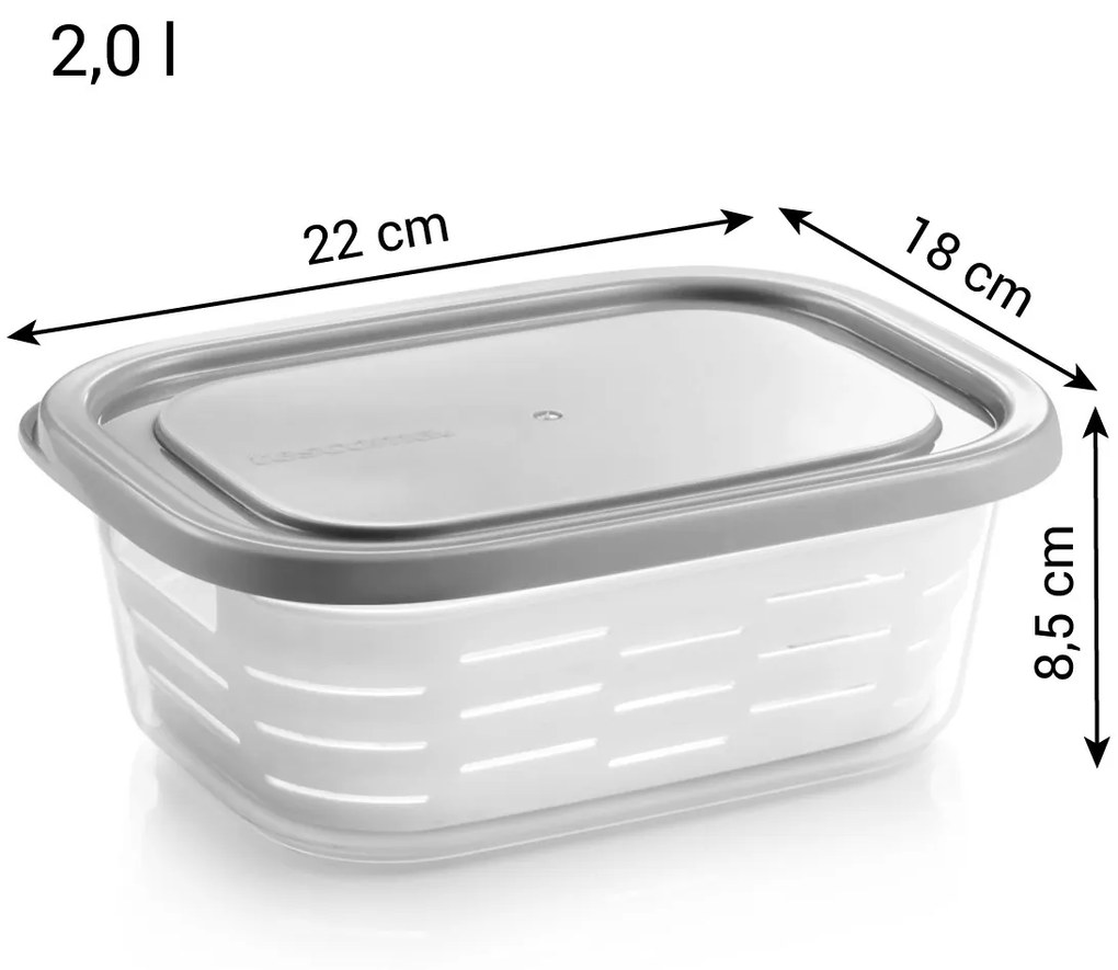 TESCOMA Dóza do mrazničky s košíkem 4FOOD 2,0 l