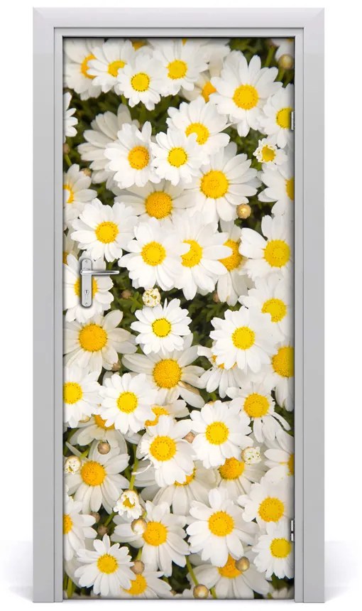 Fototapeta samolepící květy sedmikrásky 75x205 cm
