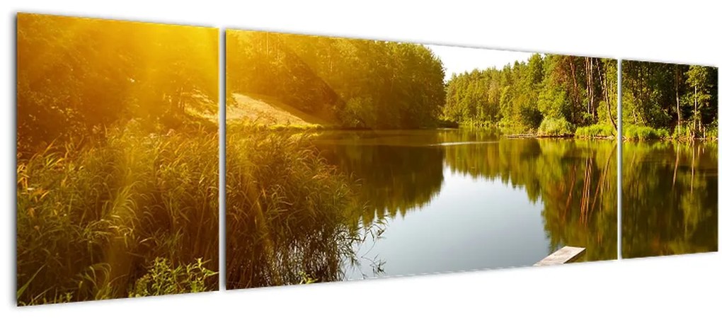 Obraz - Jezero u lesa (170x50 cm)