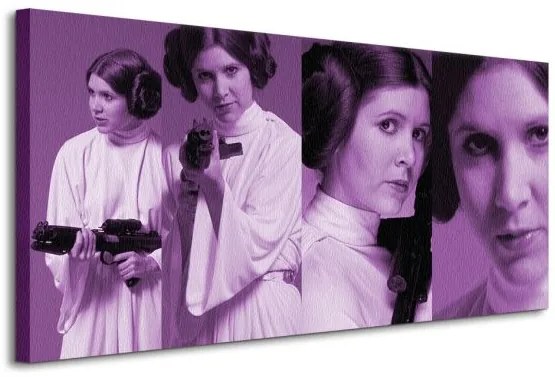 Art Group Obraz na plátně Star Wars (Princess Leia Pose) 100x50cm