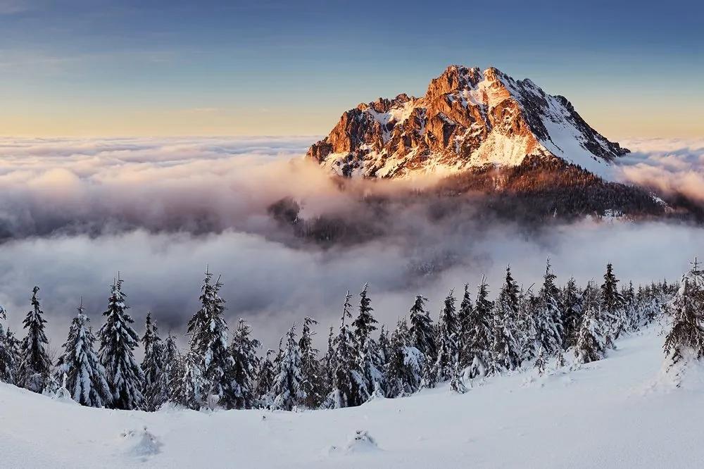 Fototapeta Rozsutec ve sněhové peřině - 450x300 cm