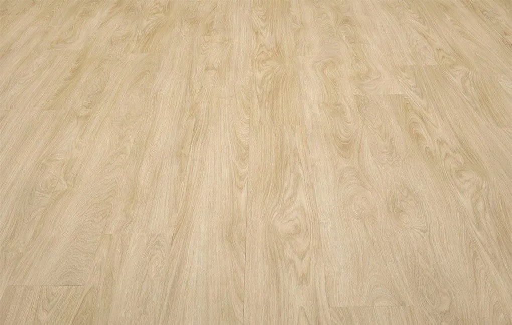 UNILIN Vinyl MODULEO ROOTS 55 EIR Laurel Oak 51282 – světlé dřevo