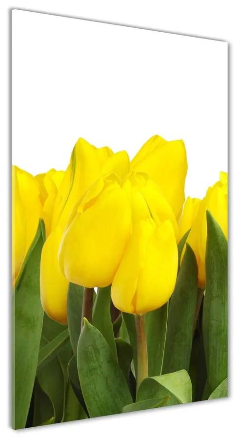 Wallmuralia Foto obraz fotografie na skle Žluté tulipány 60x120 cm